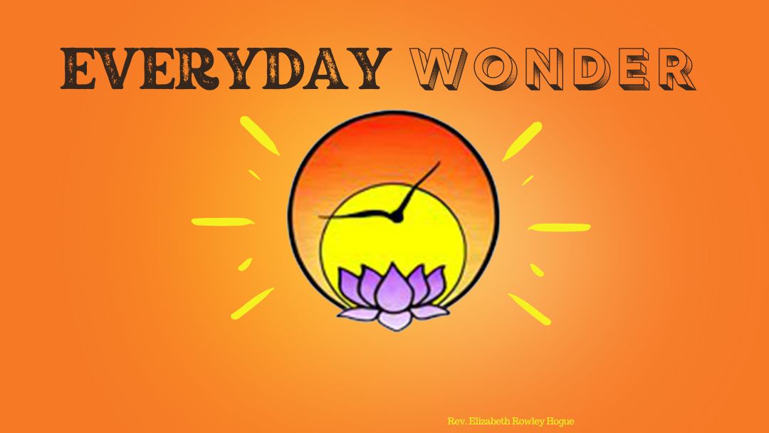 Everyday Wonder - Awakening Ways